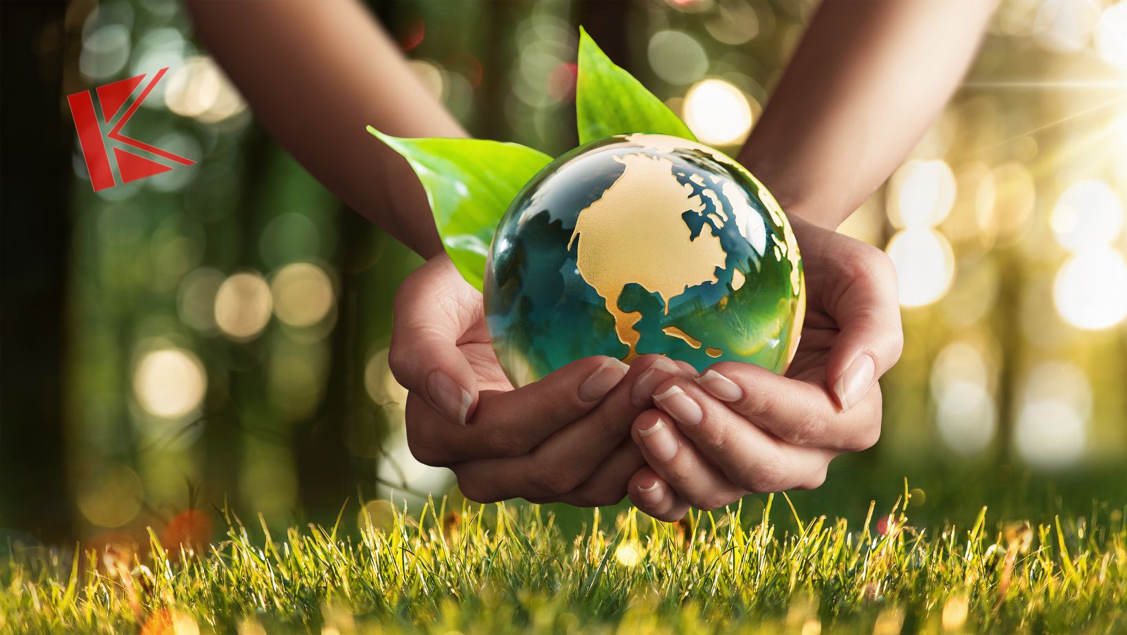 Greener Future - The Untapped Potential of Sustainable Packaging in the ...